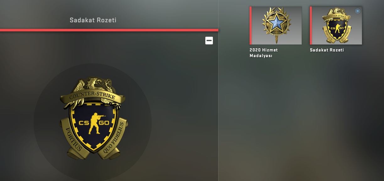 4 MADALYALI RUSTLI 450 TL STEAM OYUN ENVANT - 628602 | İtemsatış