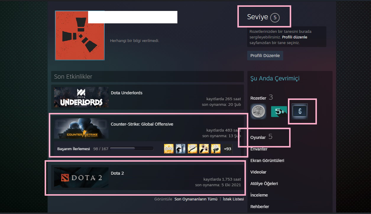 4 MADALYALI RUSTLI 450 TL STEAM OYUN ENVANT - 628602 | İtemsatış