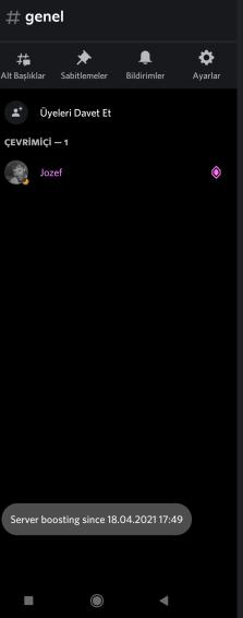 Discord | Early Supporter + Bot Developer + | İtemsatış