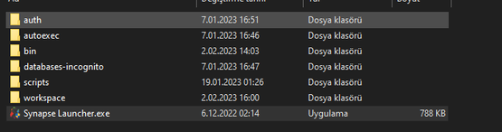 Synapse X Hesap 1284171 İtemsatış