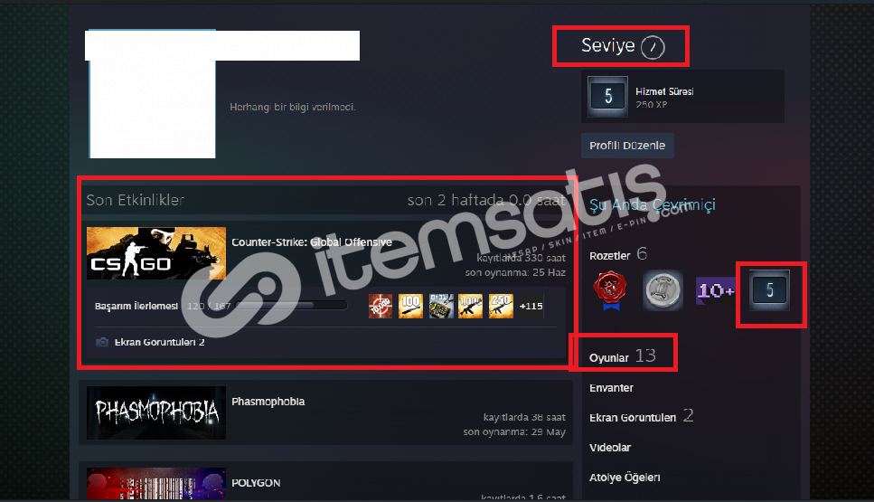 4 MADALYALI RUSTLI 40 TL CS GO ENVANTERLİ 200 TL | İtemsatış