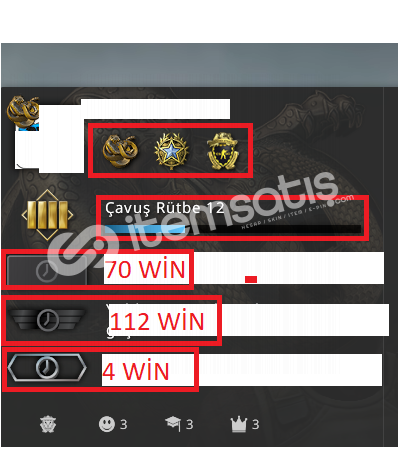 4 MADALYALI RUSTLI 40 TL CS GO ENVANTERLİ 2 | İtemsatış